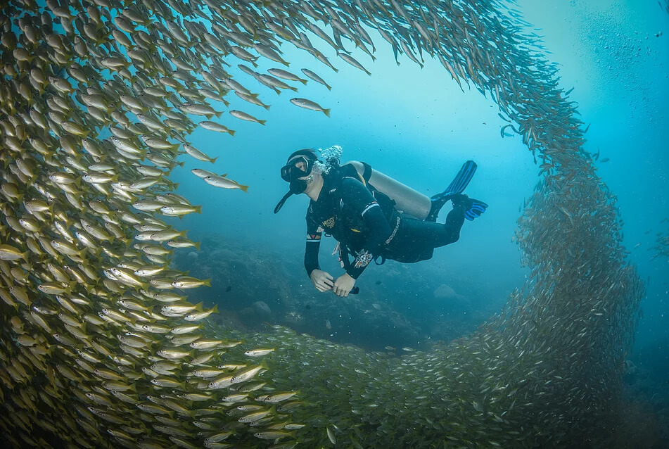 Dive Charters - YachtCharter.sg by Xynez LLP